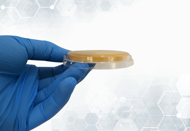 AeroSTORE – ShopPace