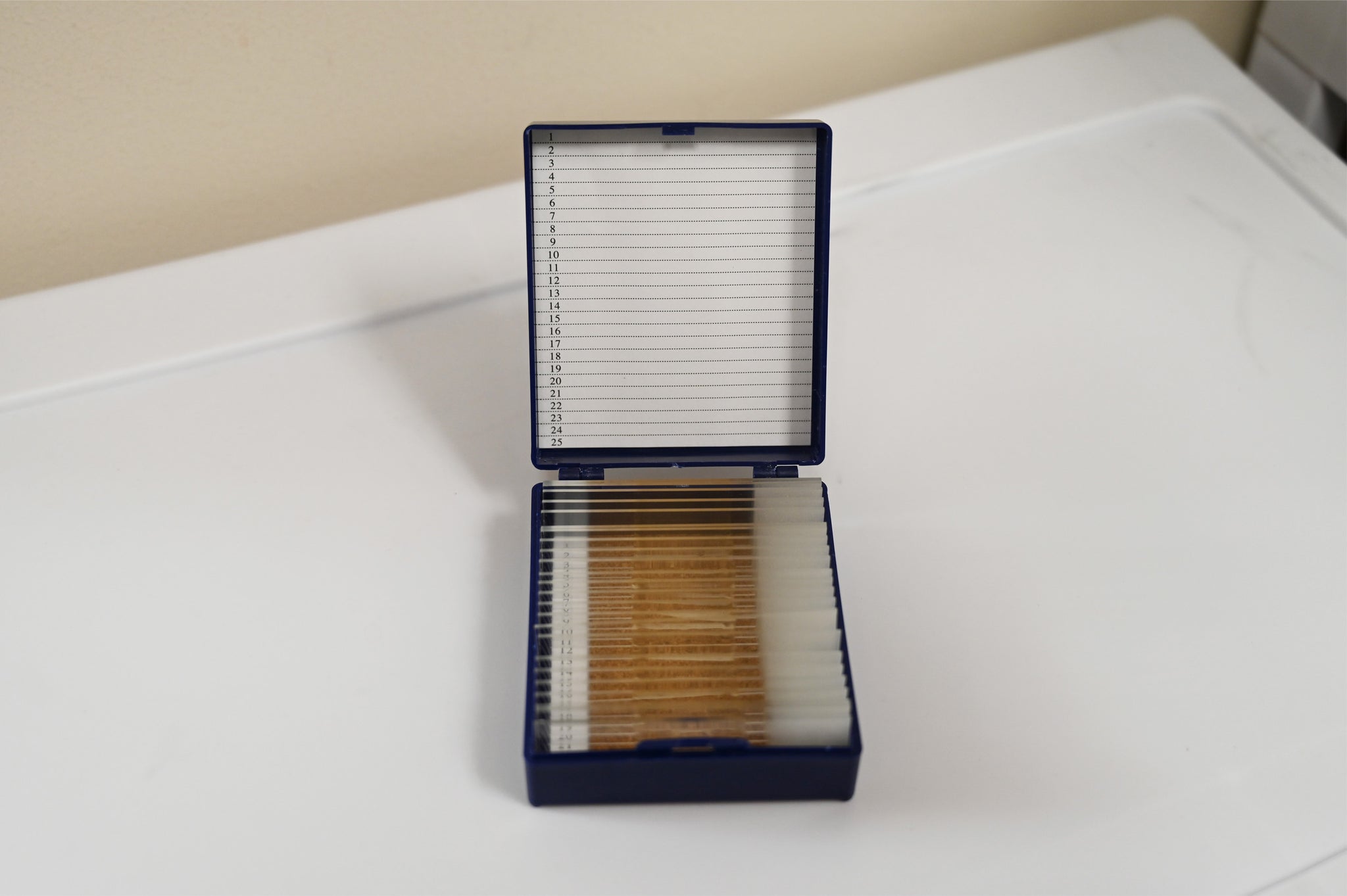 Allergenco Style Prepared Slides, 50 per slide box – ShopPace