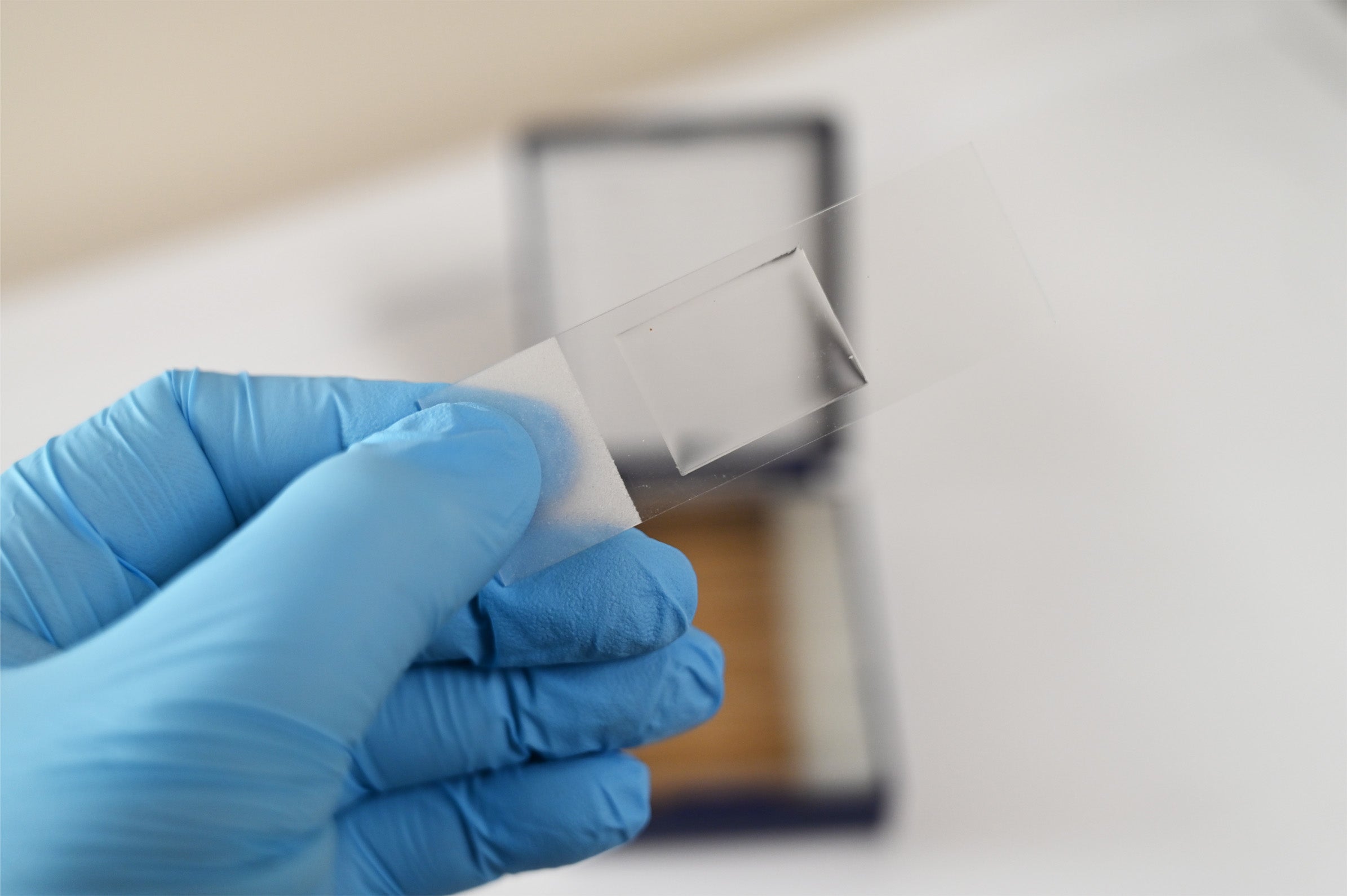 Allergenco Style Prepared Slides, 50 per slide box – ShopPace